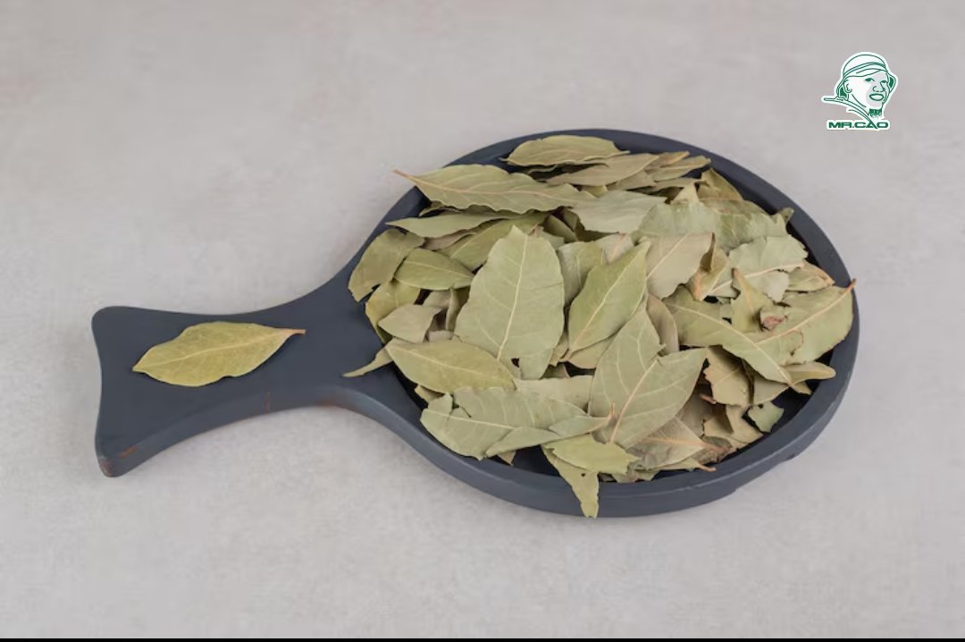 LÁ GIA VỊ ÂU NGUYỆT QUẾ – BAY LEAVES WHOLE INDIA 500G – MrCao Mart